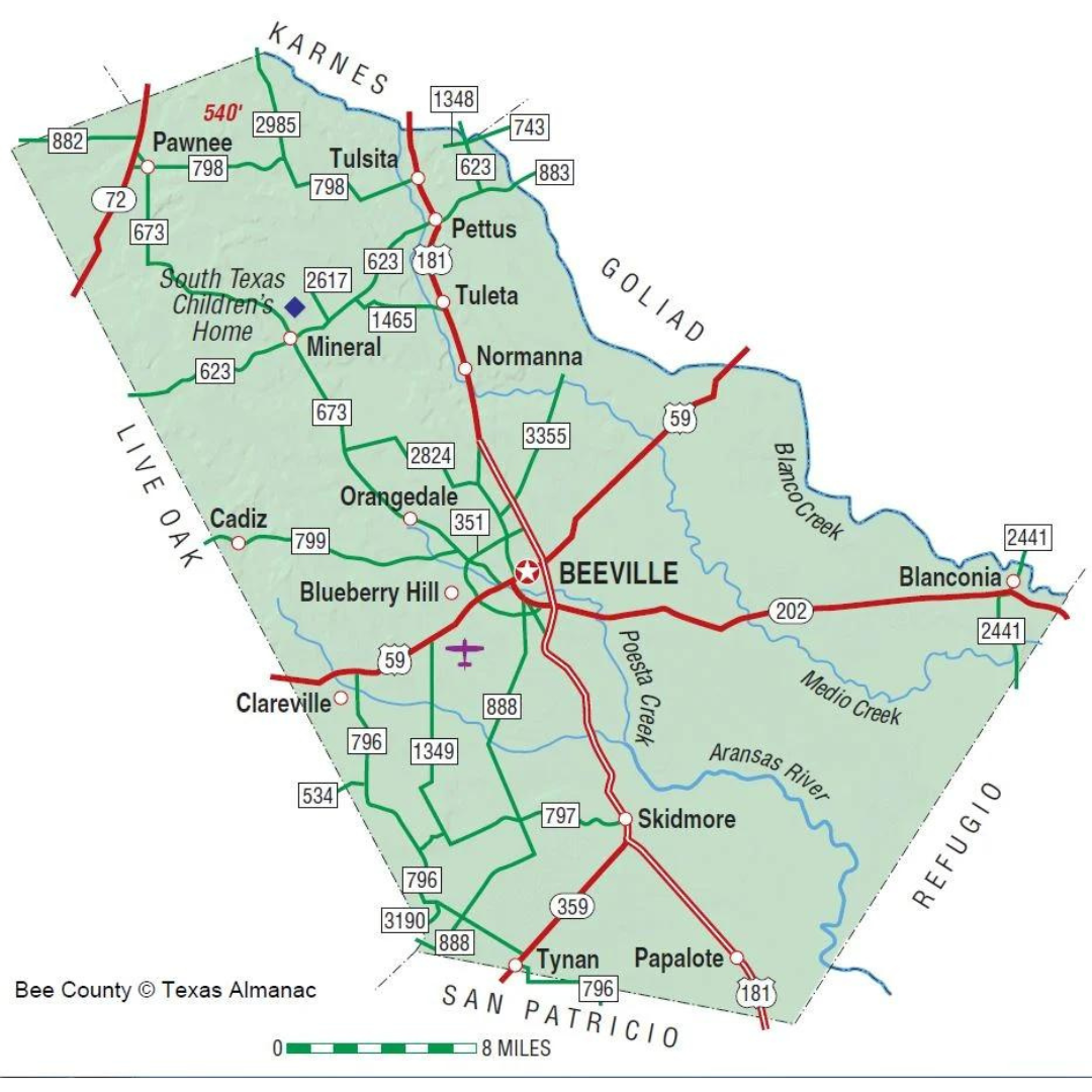 Bee County comes into being