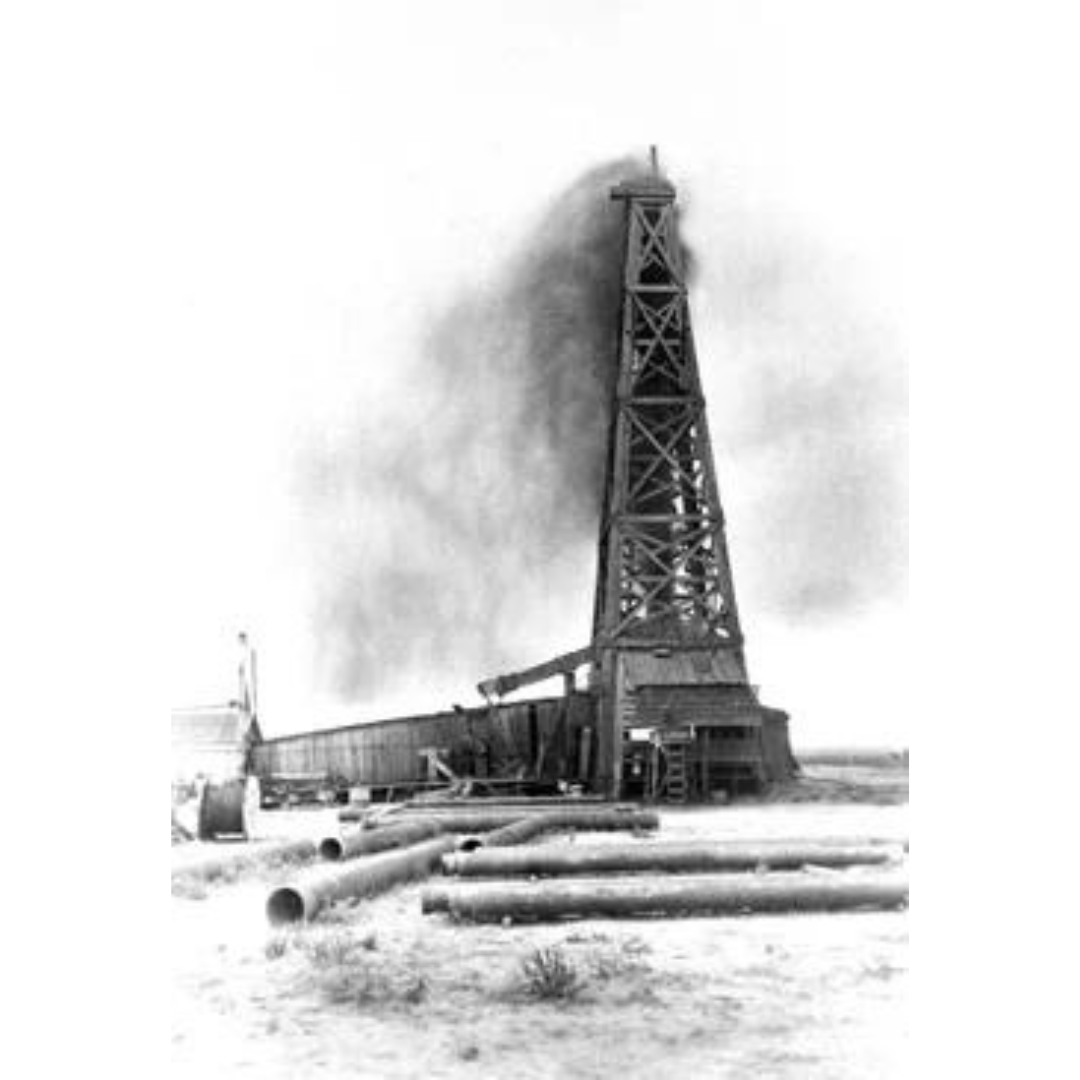 Black gold found on university land