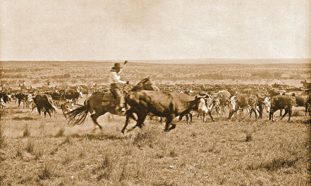 Women On Cattle Drives