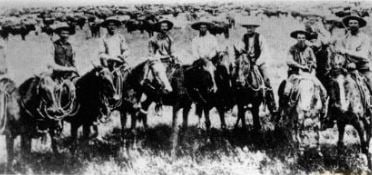 Cowboys Driving Cattle Across West Texas The Portal To Texas History