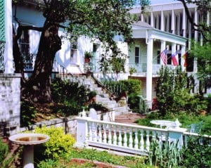 German Free School Association of Austin