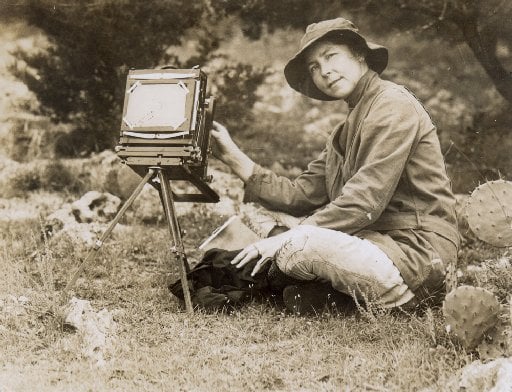 Quillin, Ellen Dorothy Schulz